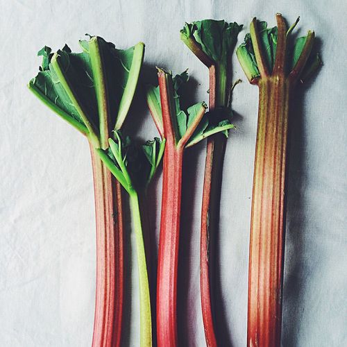 Rhubarb pictures | Curated Photography on EyeEm