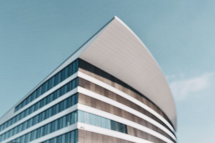 Low Angle Close-Up pictures | Curated Photography on EyeEm